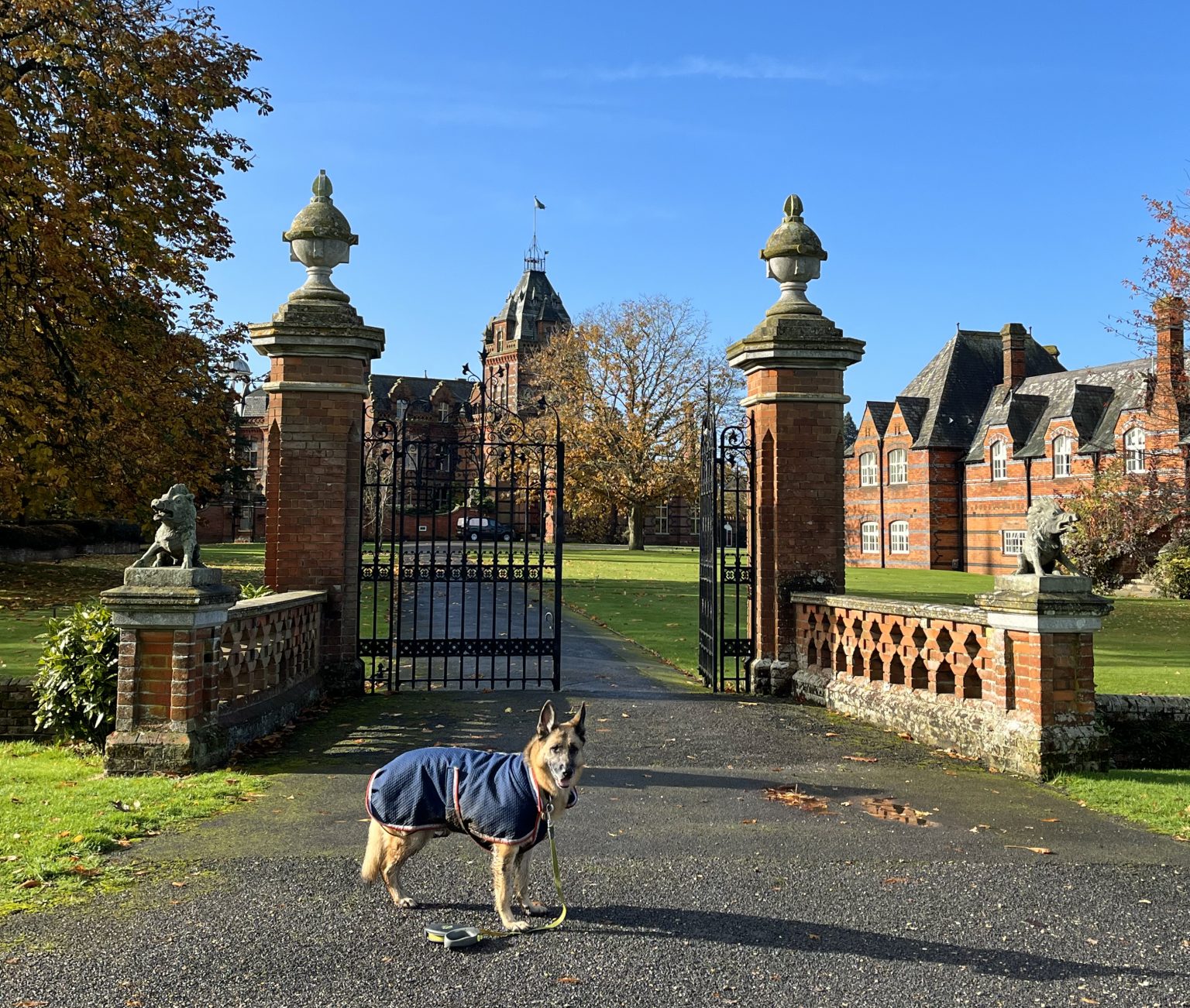 The Brooke Report – The Callender Cup At Wellington – 4th & 5th ...